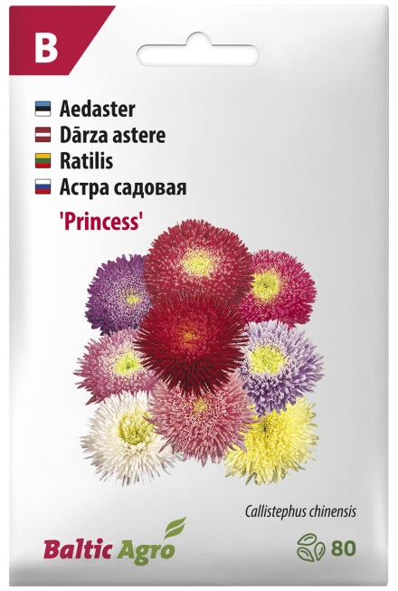 Aster 'Princess' värvide segu - Aedik